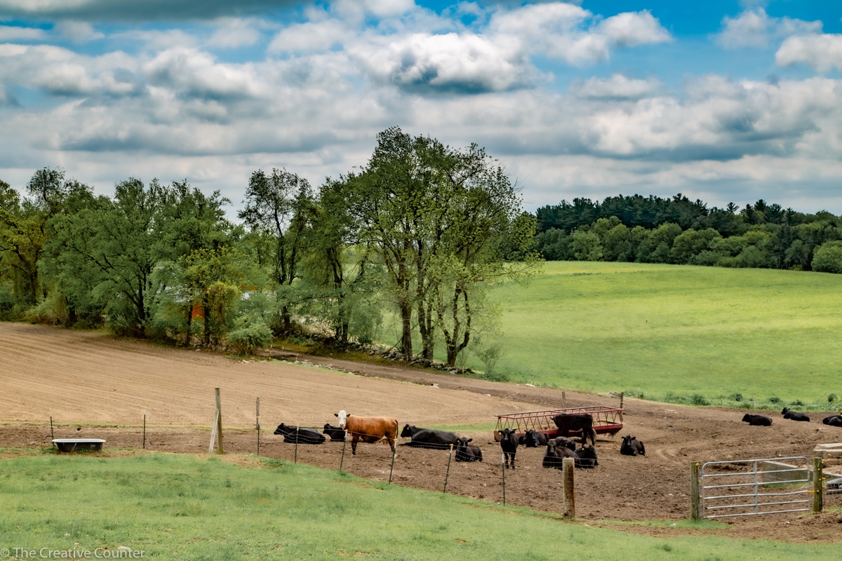 About - Poplar Hill Farm